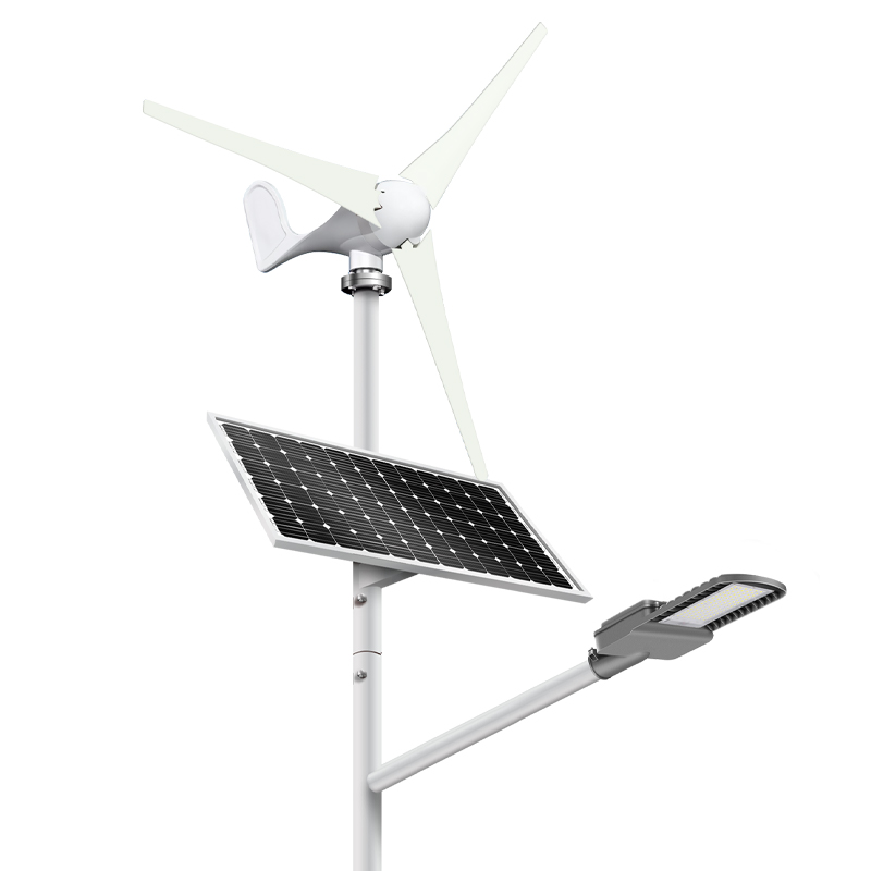 Hybrid Double Power Solar and Wind Street Light Manufacturer
